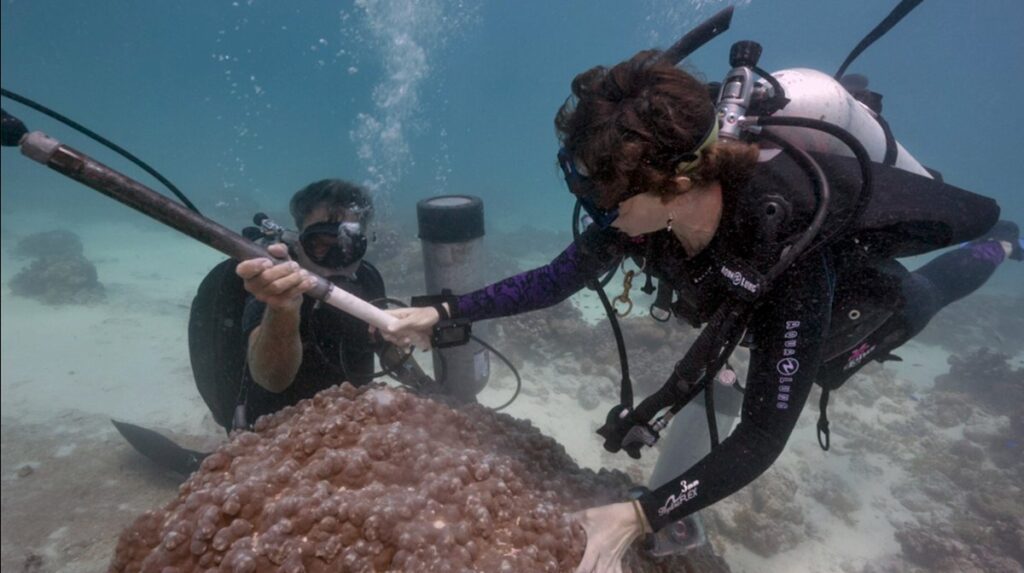 AVDF Coral Researchers in National Geographic - AVDF